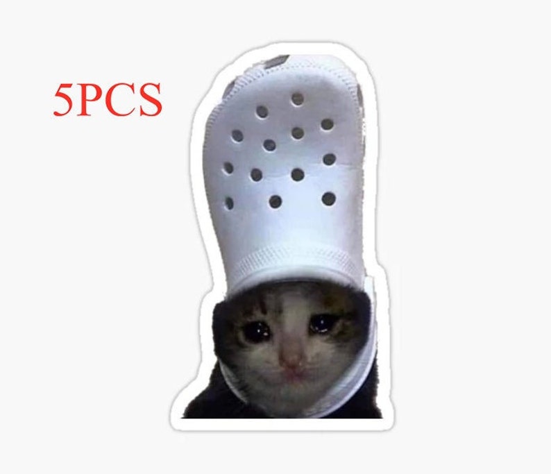 5 Pcs Funny Cat Meme Sticker Crying Cat Sticker Laptop - Etsy
