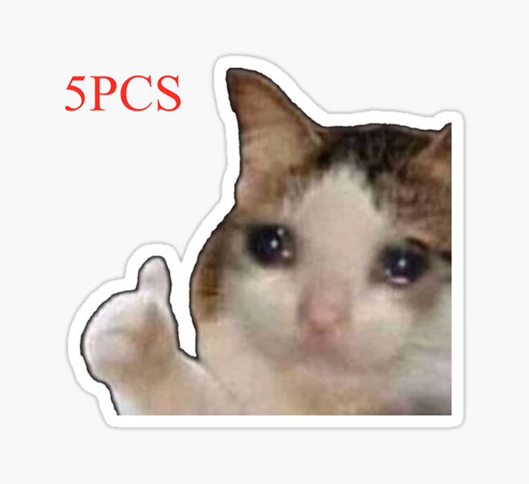 5 Pcs Funny Cat Meme Sticker, Everything's Okay Cat Sticker Laptop ...