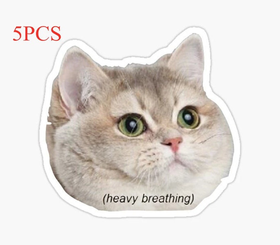 5 Pcs Funny Cat Meme Sticker, Cat Sticker Laptop Sticker, Water Bottle ...