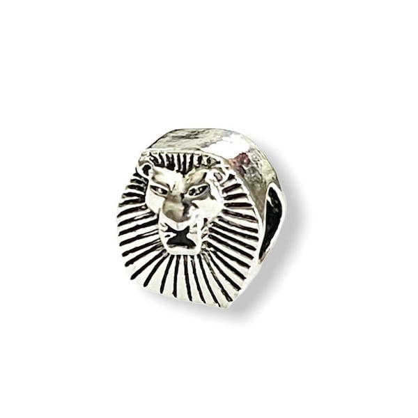 Wicked Pandora Charm - Etsy