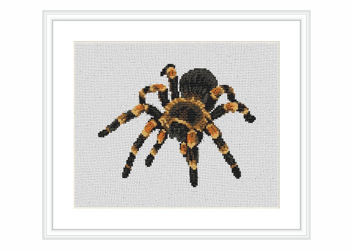 Tarantula Insect Spider Cross Stitch Pattern Instant Digital - Etsy