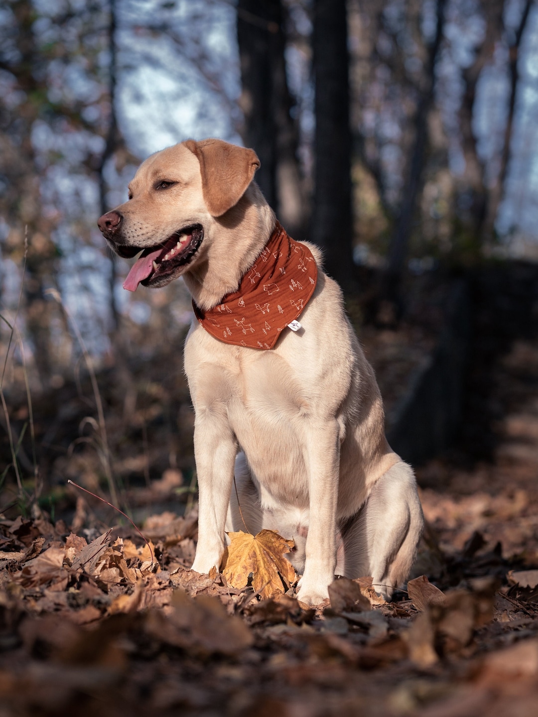 Dog Bandana jul Rust Red Midnight Blue - Etsy Singapore