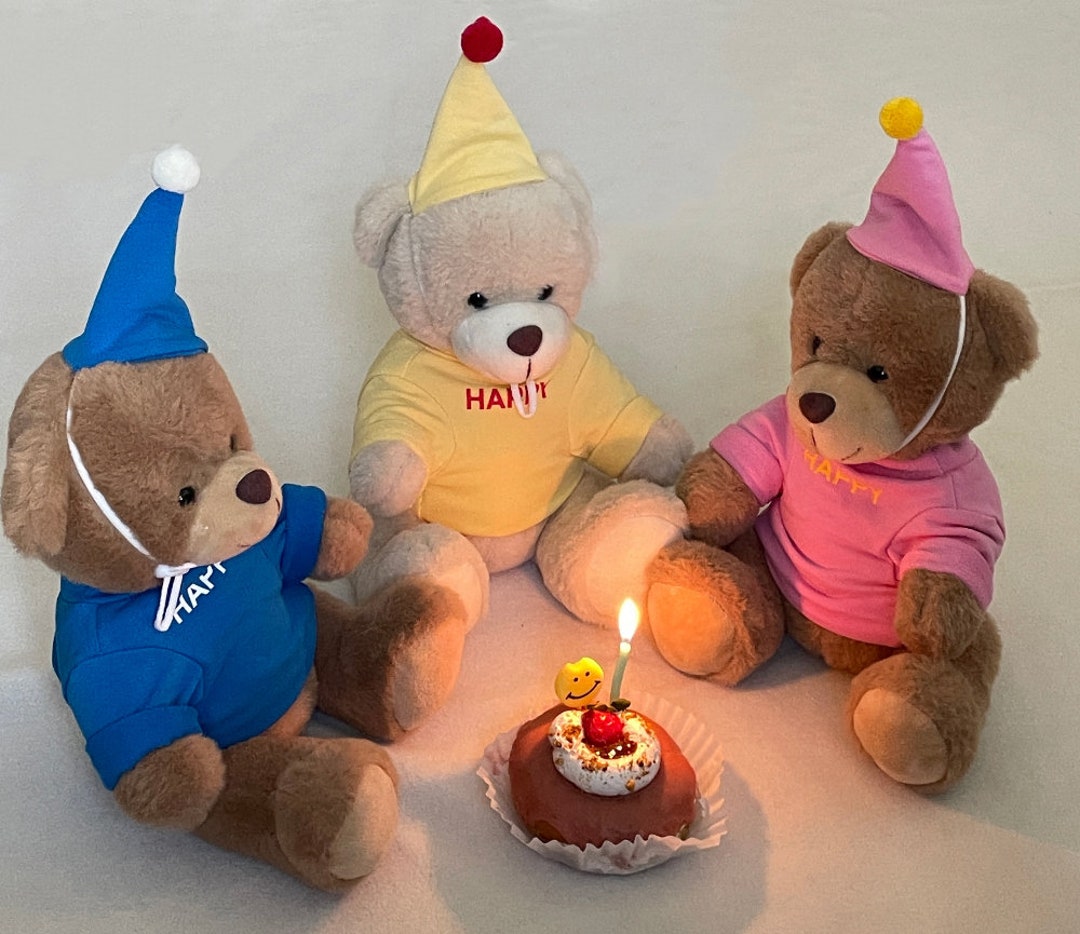 Happy T-shirt W/cont Hat, S-XL, Dog-sweatshirt, Christmas Costume Dog ...