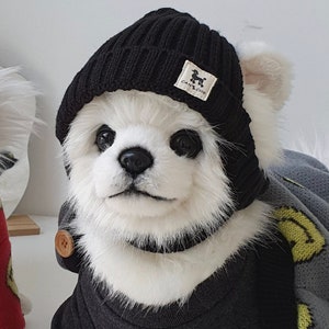 Ribbed Cuff Beanie, S-L, Dog Beanie, Dog Hat, Pet Outdoor, Pet Clothing ...