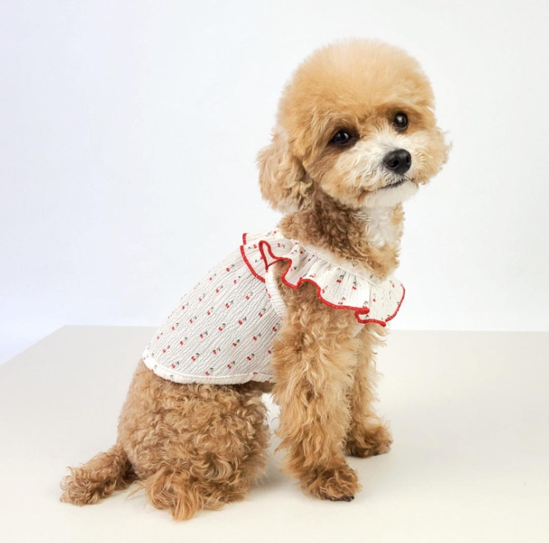 Wing Sleeveless, S-2XL, Pet Clothing, Dog-tee, Dog T-shirt, Dog Top ...
