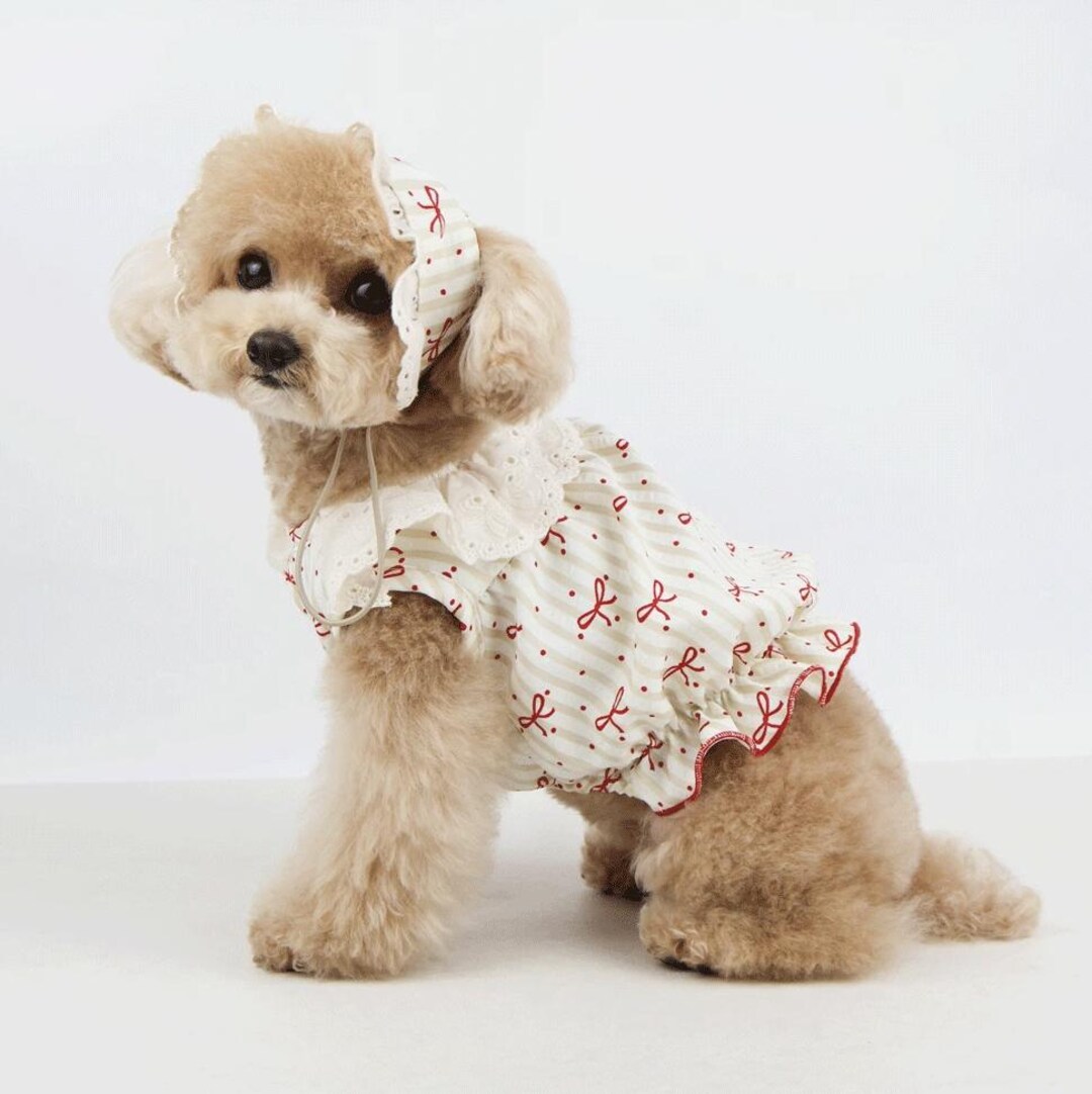 Ribbon Bonnet Blouse Set, S-XL, Small Dog Dress, Small Dog Clothes, Dog ...