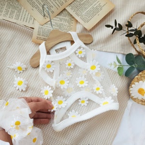 Daisy Chiffon Crop Top, XS-2XL, Dog-shirts Dog Top, Dog Clothing, Dog ...