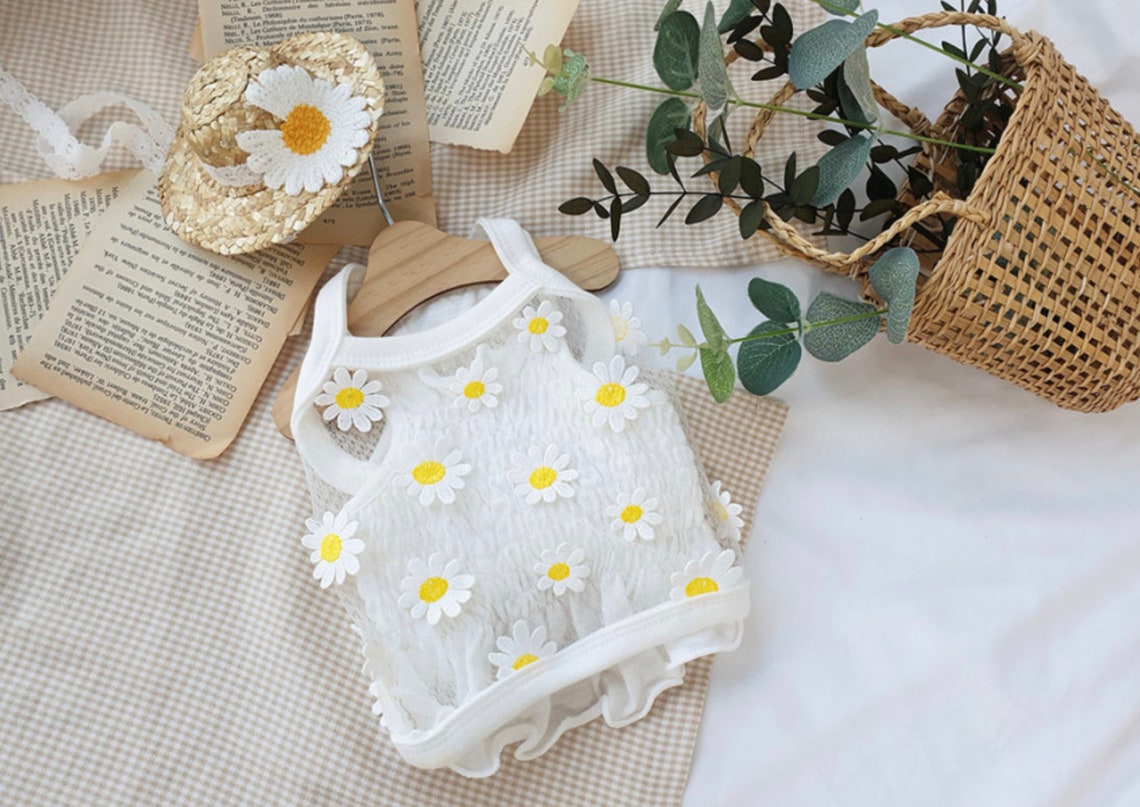 Daisy Chiffon Crop Top, XS-2XL, Dog-shirts Dog Top, Dog Clothing, Dog ...