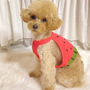 Fruits Crop Top, S-2XL, Dog-tank Top, Dog Skirt, Dog Top, Dog Clothing ...