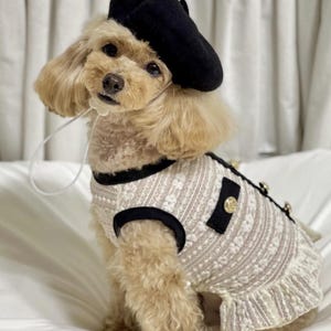 French Beret Hat, Hat for Dog, Dog Hat, Dog Beret, Dog Costume, Pet ...