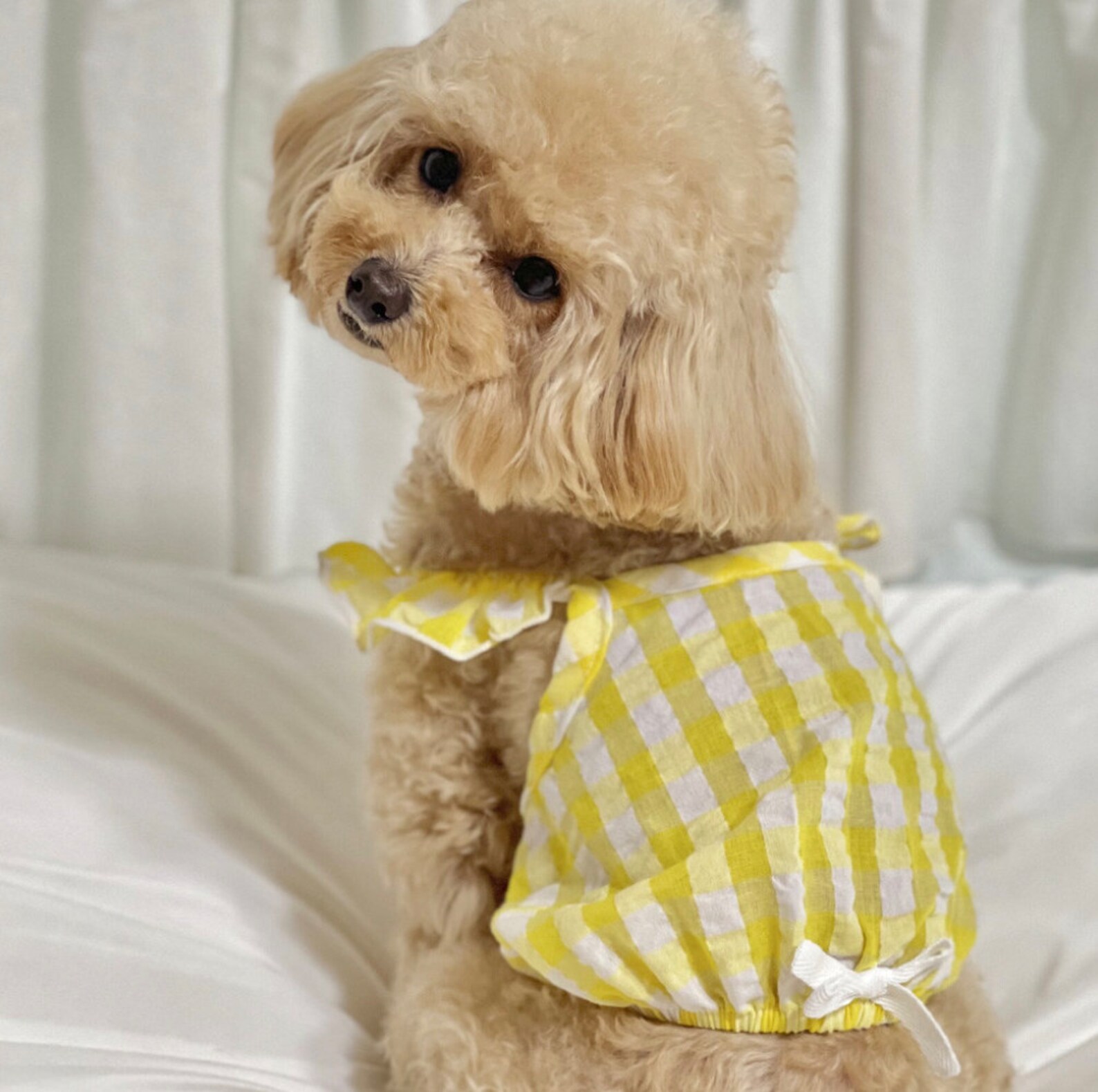 Gingham Crop Top, S-2XL, Dog-tee, Dog Top, Dog Clothing, Dog Fashion ...