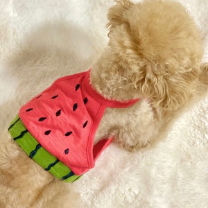 Fruits Crop Top, S-2XL, Dog-tank Top, Dog Skirt, Dog Top, Dog Clothing ...