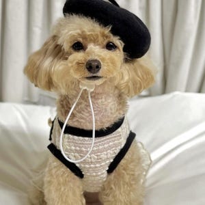 French Beret Hat, Hat for Dog, Dog Hat, Dog Beret, Dog Costume, Pet ...