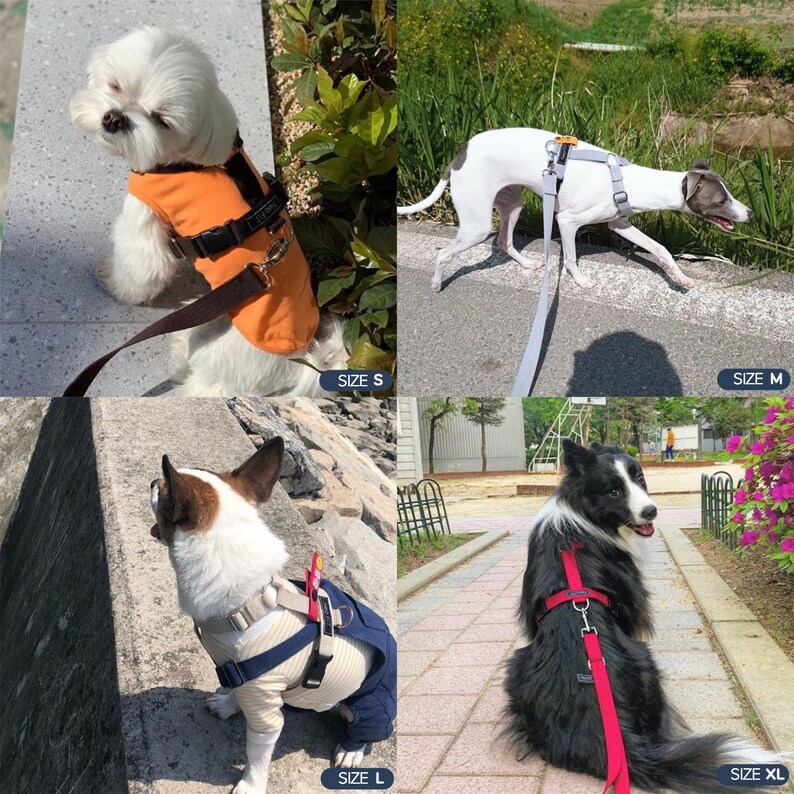 Dog Harness, H Type Harness, Dog Leash, Adjustable Dog Harness, X-small ...