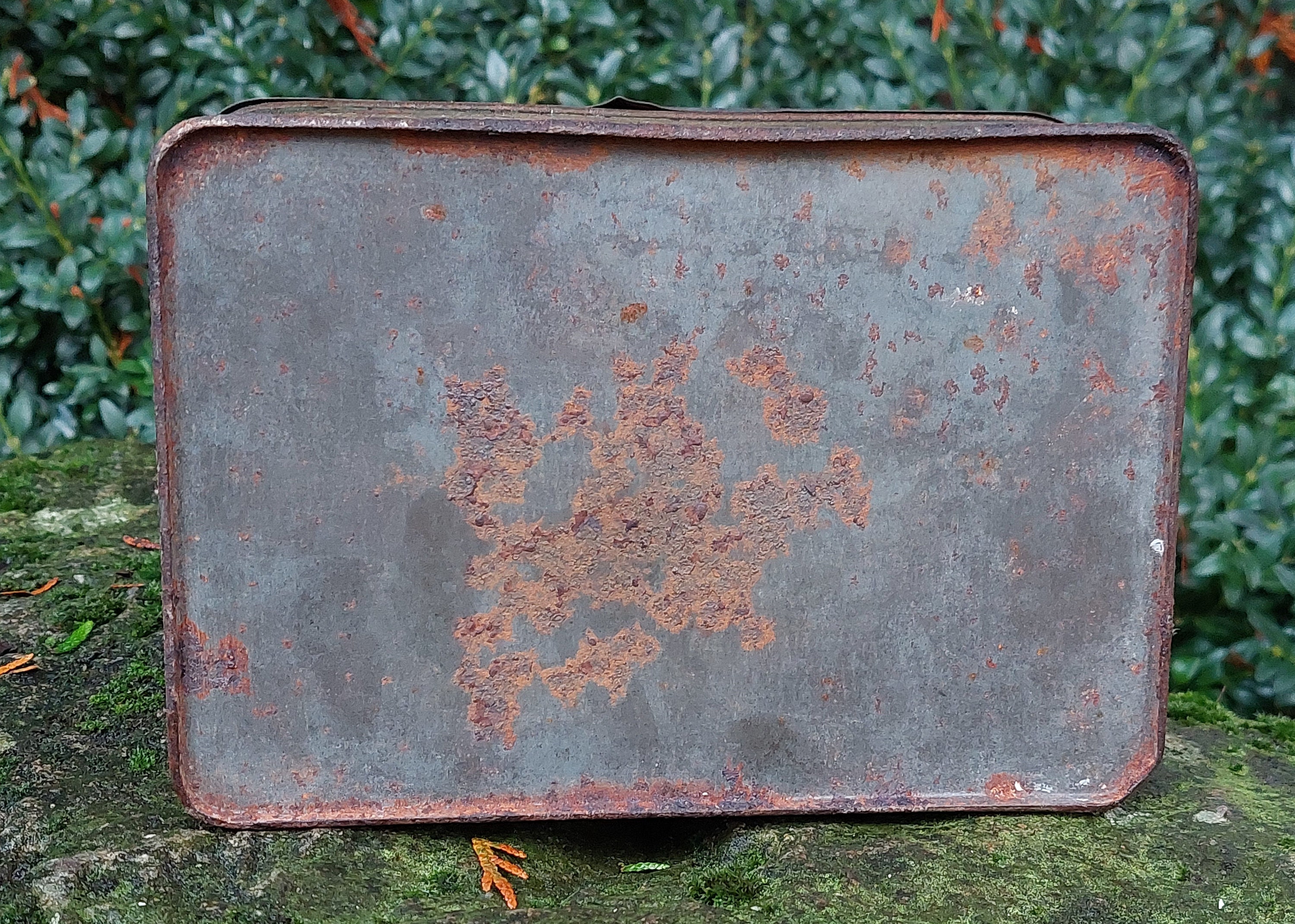 Old Iron Biscuit and Sugar Box / the Modern Hive, Cakes, Pastries ...