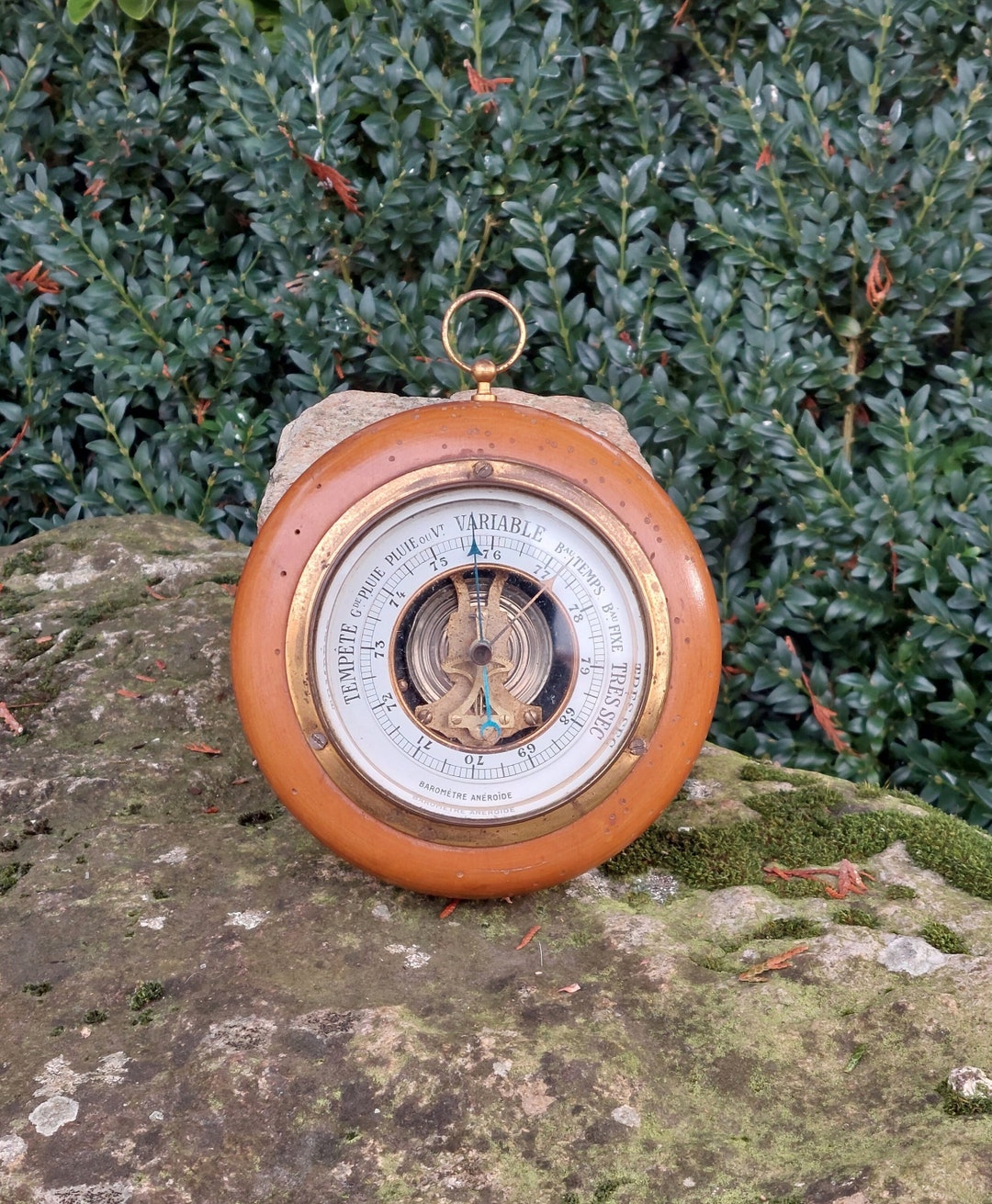 Old Wooden Aneroid Barometer / Cylindrical Shape / Functional / Beveled ...