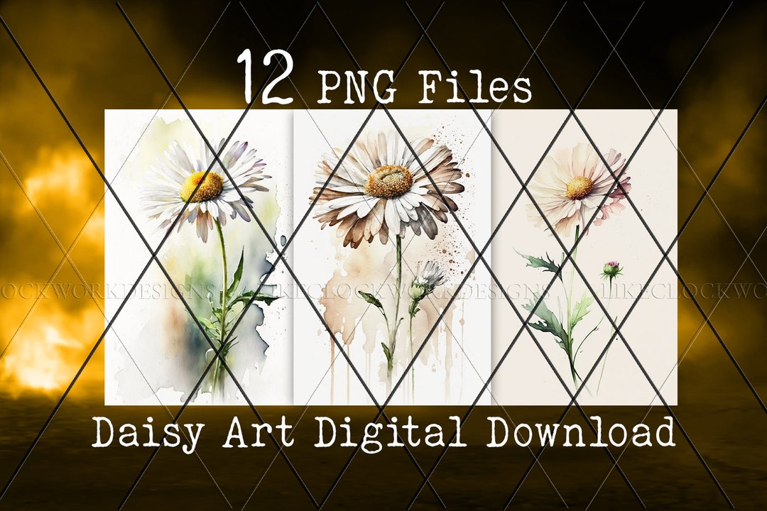 Daisy Digital Download Daisy PNG Bundle Daisy Clipart Daisy Download - Etsy
