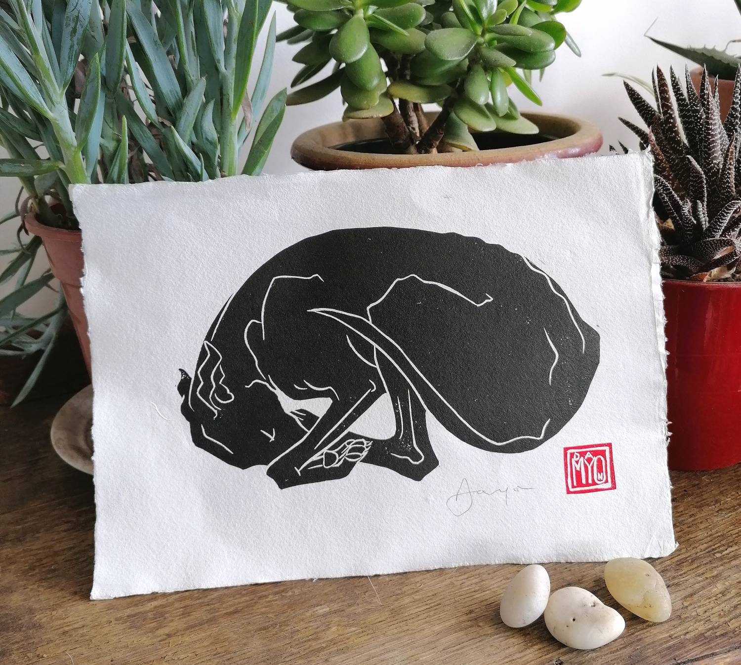 Gorgeous, Curled Up, Sleepy Whippet. Hand Printed Linocut. (A4 Size) - Etsy