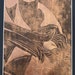 Maui Block Print Art Made With Novelty Paper. Kapa, Tapa Cloth ...