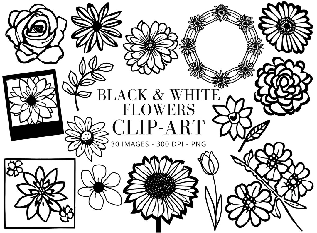 Flower Clipart Bundle, Black and White Hand Drawn Style Flowers, Flower ...