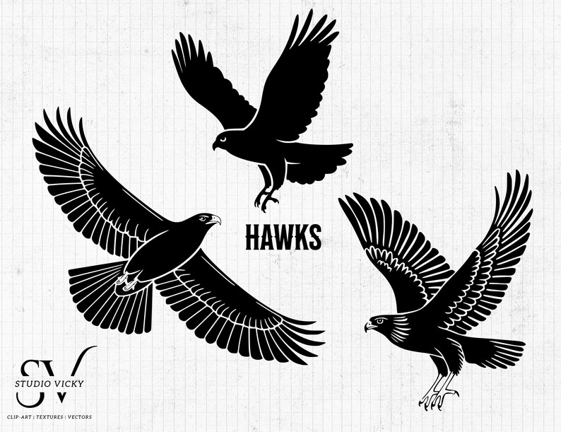 Hawk Clipart: Black and White Wildlife SVG, PNG (digital Download) - Etsy