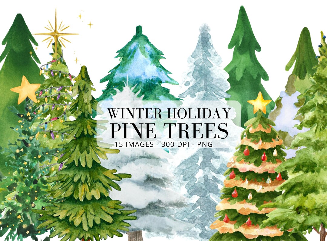 Watercolor Pine Tree Clipart Bundle: Christmas & Winter PNG Designs ...