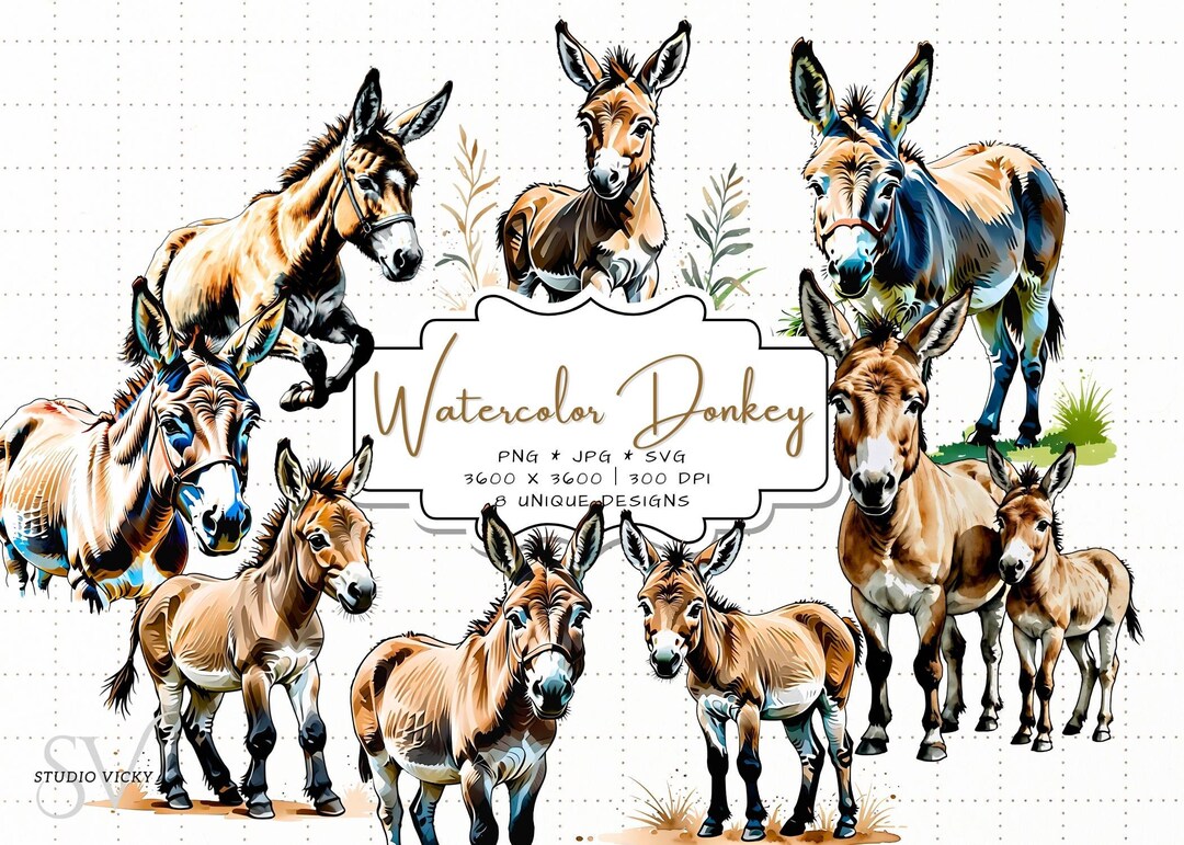 Watercolor Donkey Clipart: Farm Animal PNG, SVG, JPG (digital Download ...