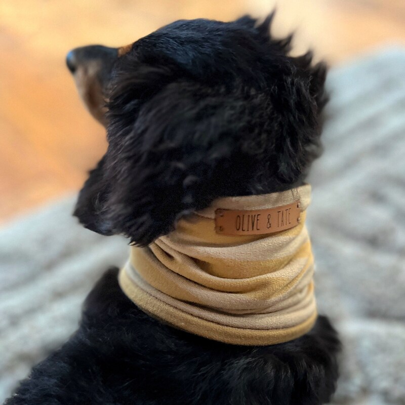 Dog Snood Pattern - Etsy