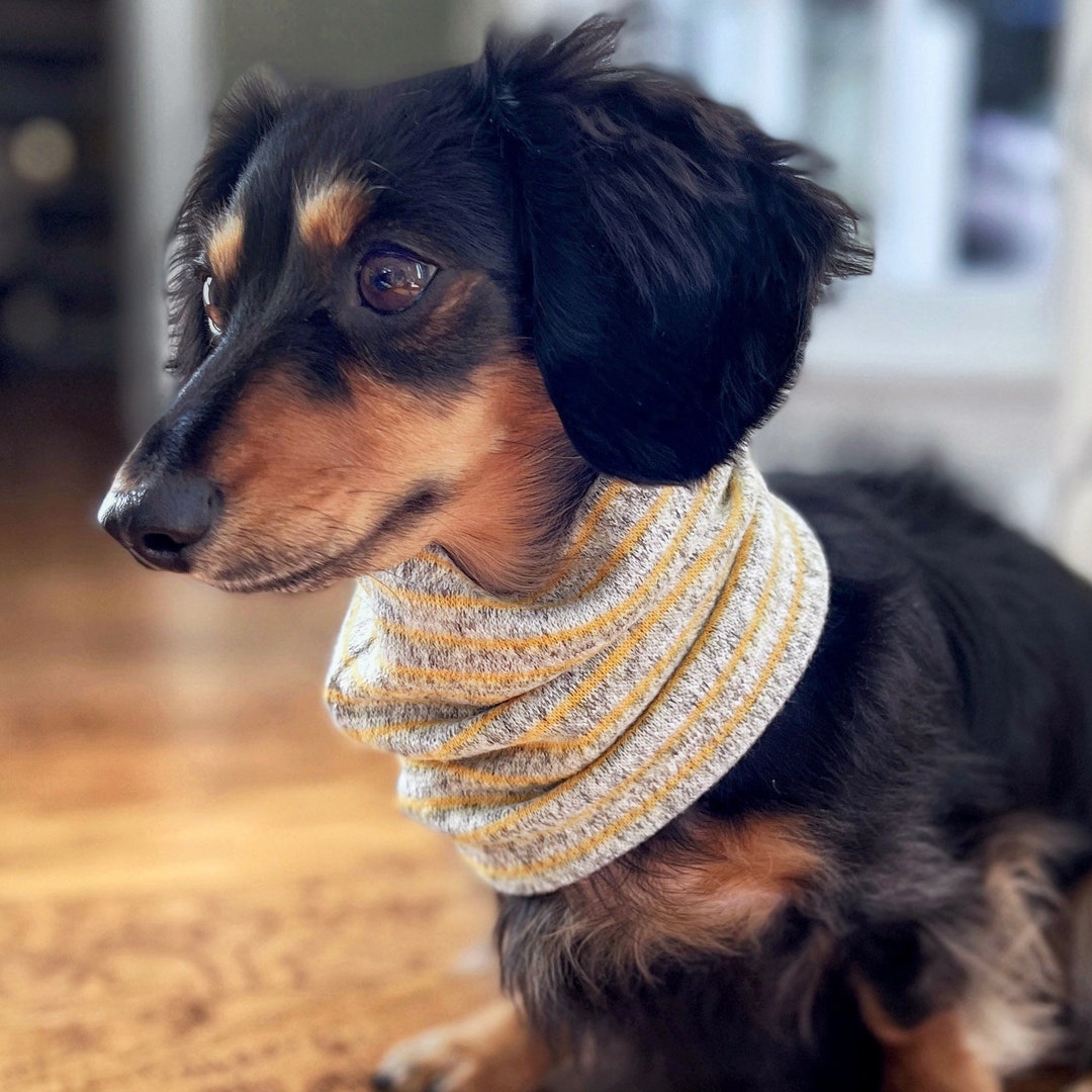 Dog Snood, Striped Dog Snood, Snood for Dogs, Dog Infinity Scarf, Cat ...