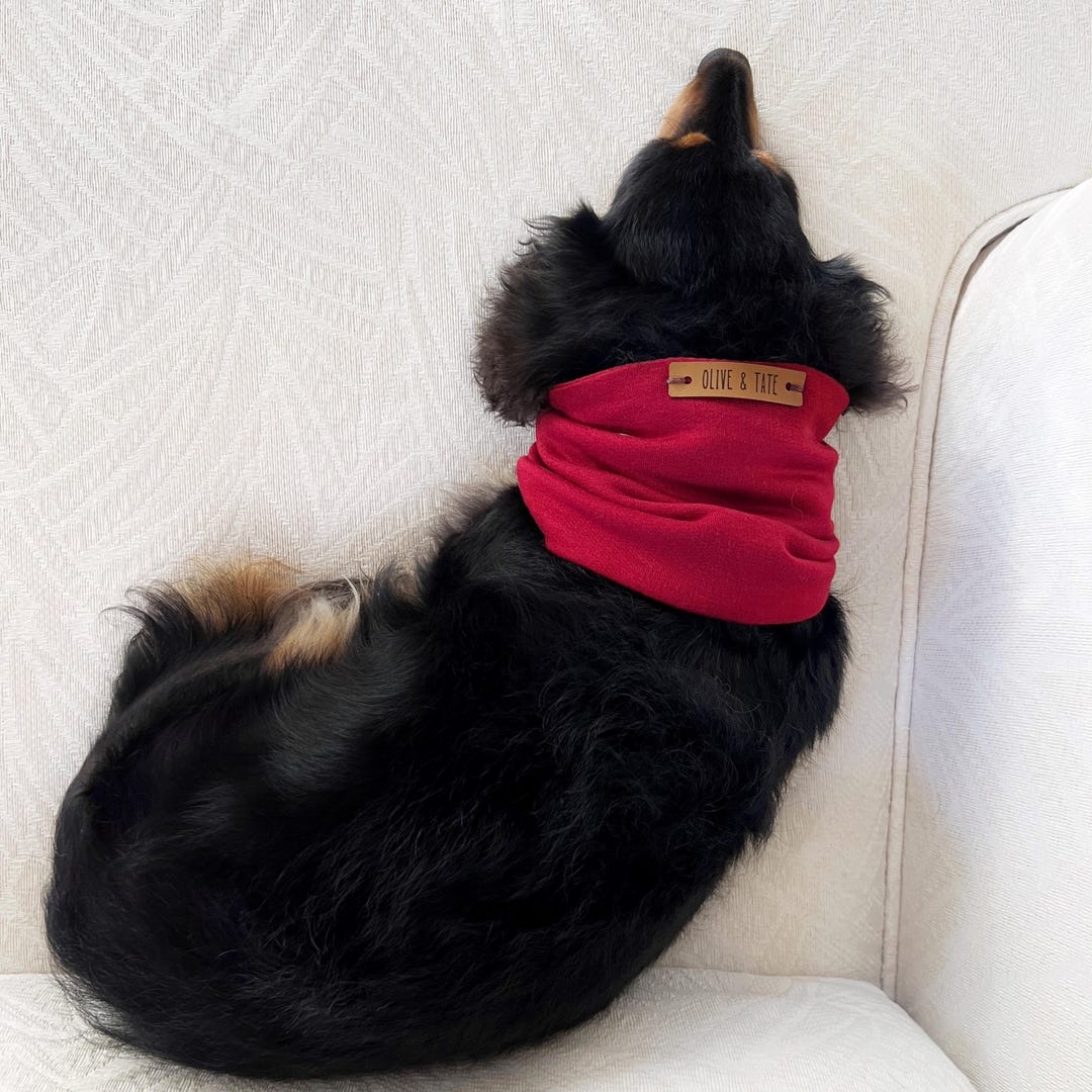 Christmas Dog Snood, Red Snood for Dogs, Dog Infinity Scarf, Cat Scarf ...