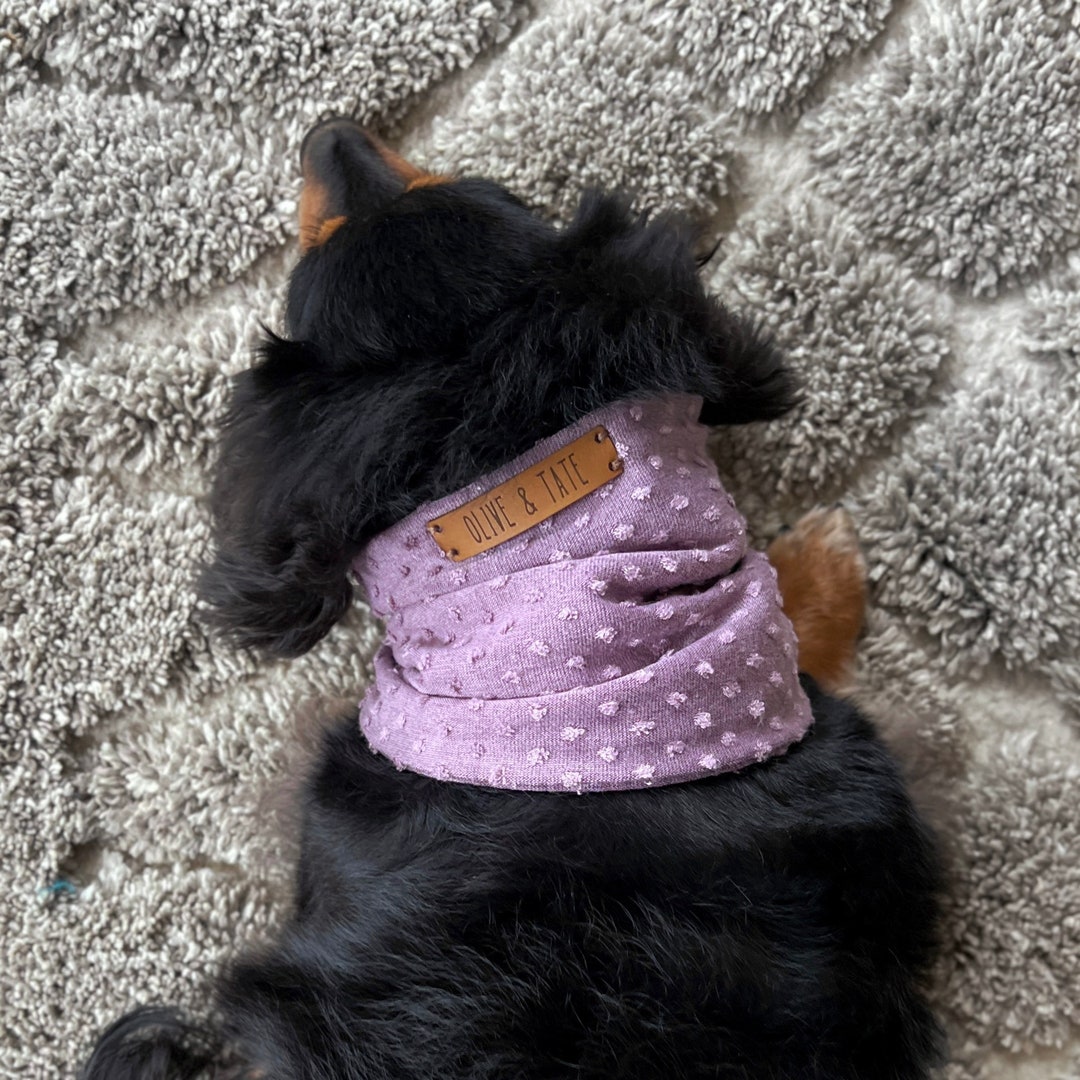 Dog Snood, Purple Dog Snood, Snood for Dogs, Dog Infinity Scarf, Dog ...