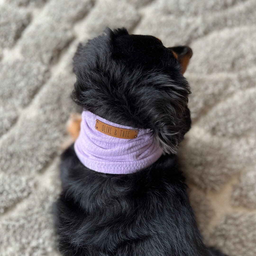 Dog Snood, Purple Knit Dog Snood, Purple Snood for Dogs, Dog Infinity ...