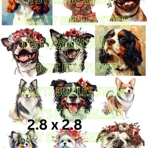 FREE SHIPPING USA 9.5x13in Rice Paper, Shell Paper, Dog Papers, Dog ...