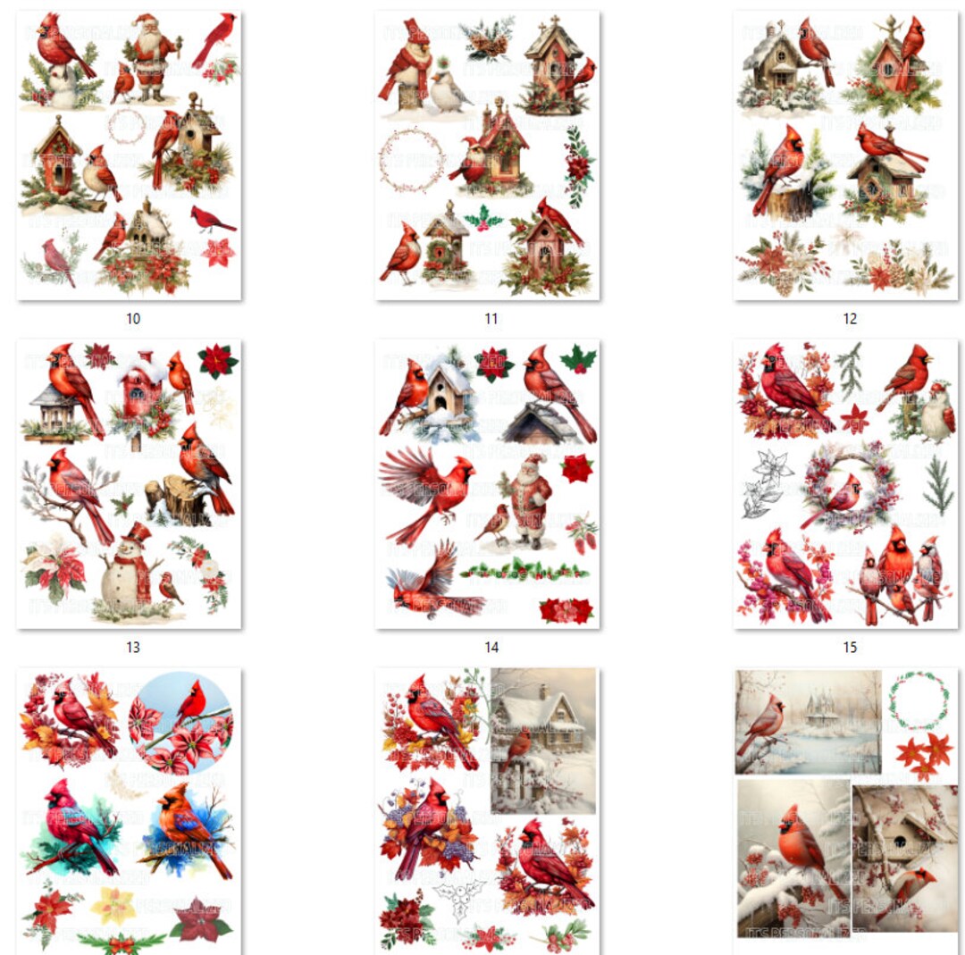 FREE SHIPPING USA- Cardinal Rice Paper, Coaster Rice Paper, Red Birds ...