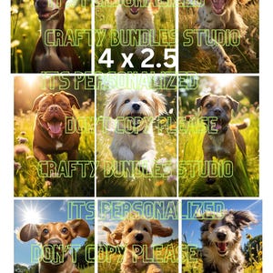 FREE SHIPPING USA 9.5x13in Rice Paper, Shell Paper, Dog Papers, Dog ...