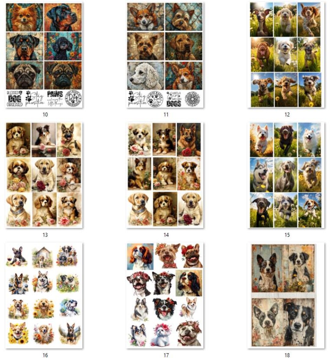 FREE SHIPPING USA 9.5x13in Rice Paper, Shell Paper, Dog Papers, Dog ...