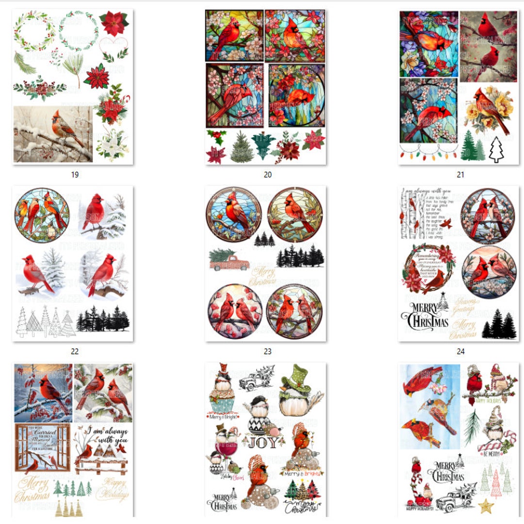 FREE SHIPPING Cardinal Rice Paper, Coaster Rice Paper, Red Birds ...