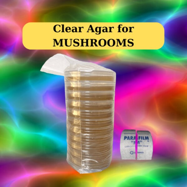 Clear Plates - Etsy