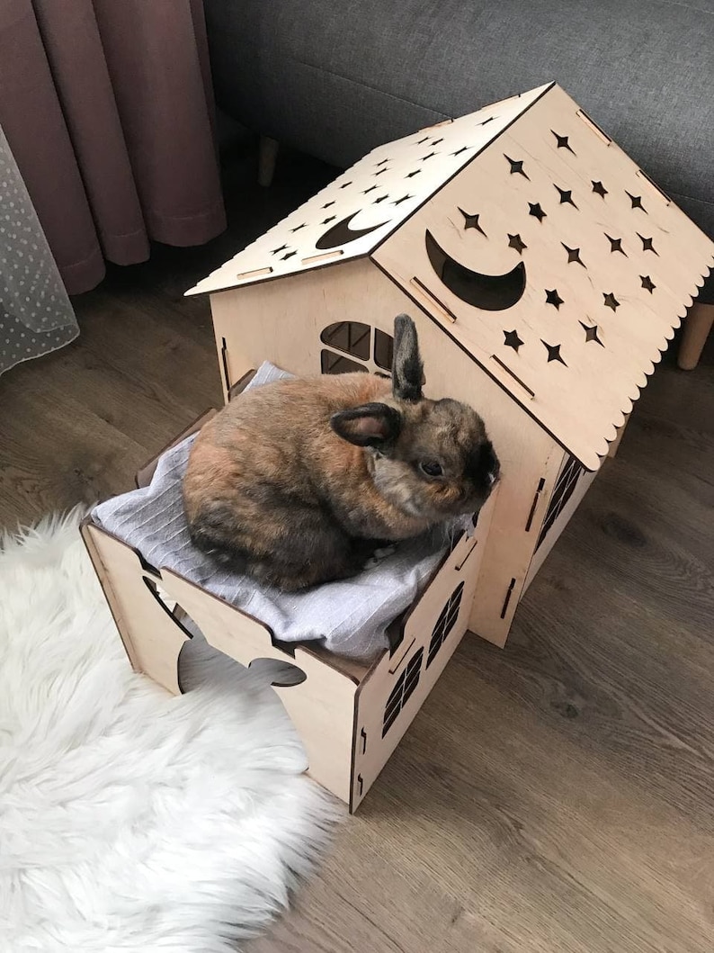 Bunny House With Ladder Guinea Pig House Rabbit Furniture - Etsy