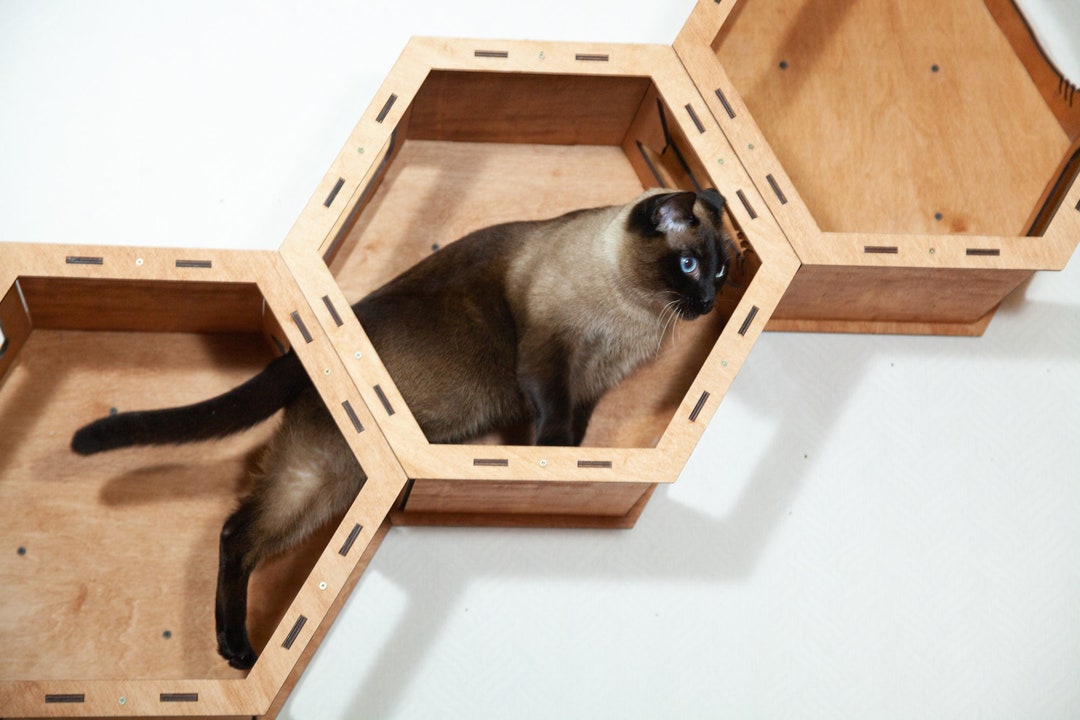 Hexagon Cat Shelves, Wooden Cat House, DIY Cat Tree, Cat Bed, Wooden ...