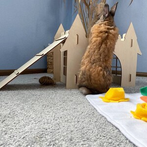 Rabbit Shelter, Bunny Hideaway, Pet Dwelling, Bunny Playhouse, Rabbit ...
