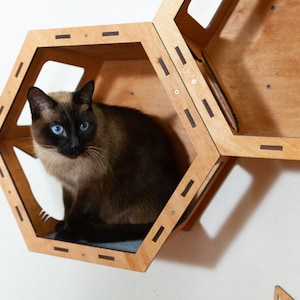 Custom Set of Wooden Cat Houses, Hexagon Cat Shelves, Wooden Cat House ...