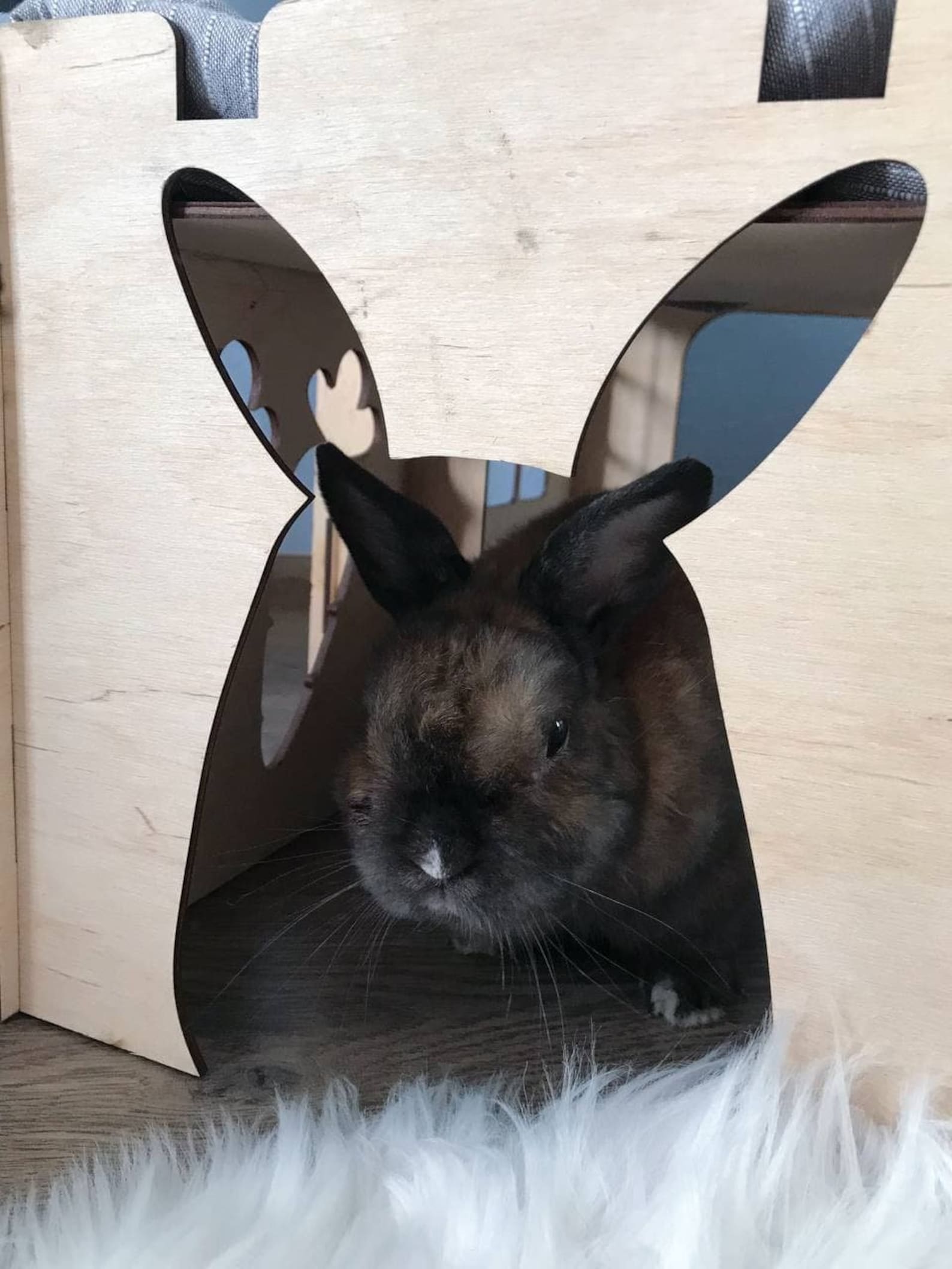 Bunny House With Ladder Guinea Pig House Rabbit Furniture - Etsy