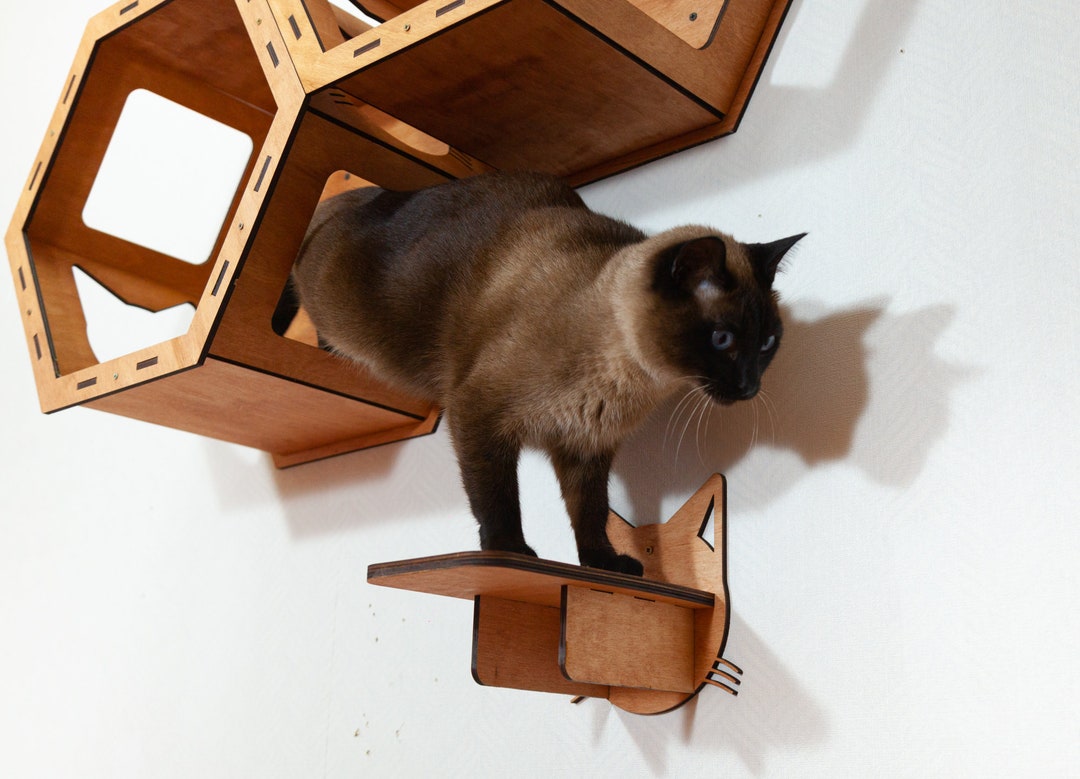Wooden Cat House, Cat Tree, Hexagon Cat Shelves, Cat Bed, Wooden Cat ...