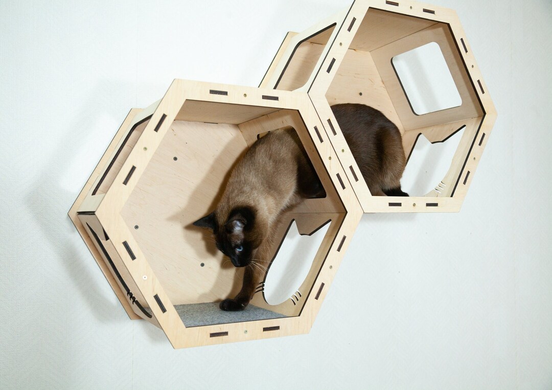 Cat Hexagon Shelves, Corner Cat Tree, Cat Wall Shelves, Cat Shelf Wall ...
