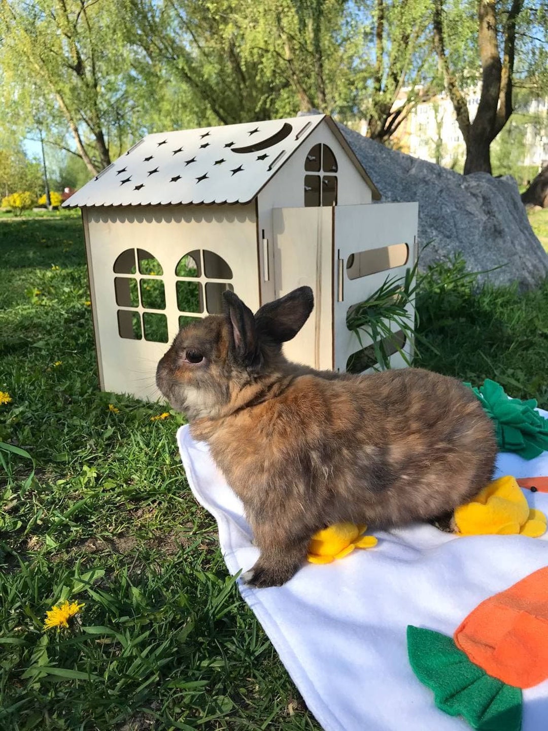 Wooden Rabbit House With a Feeder - Etsy