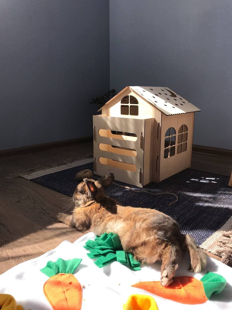 Wooden Rabbit House With a Feeder - Etsy