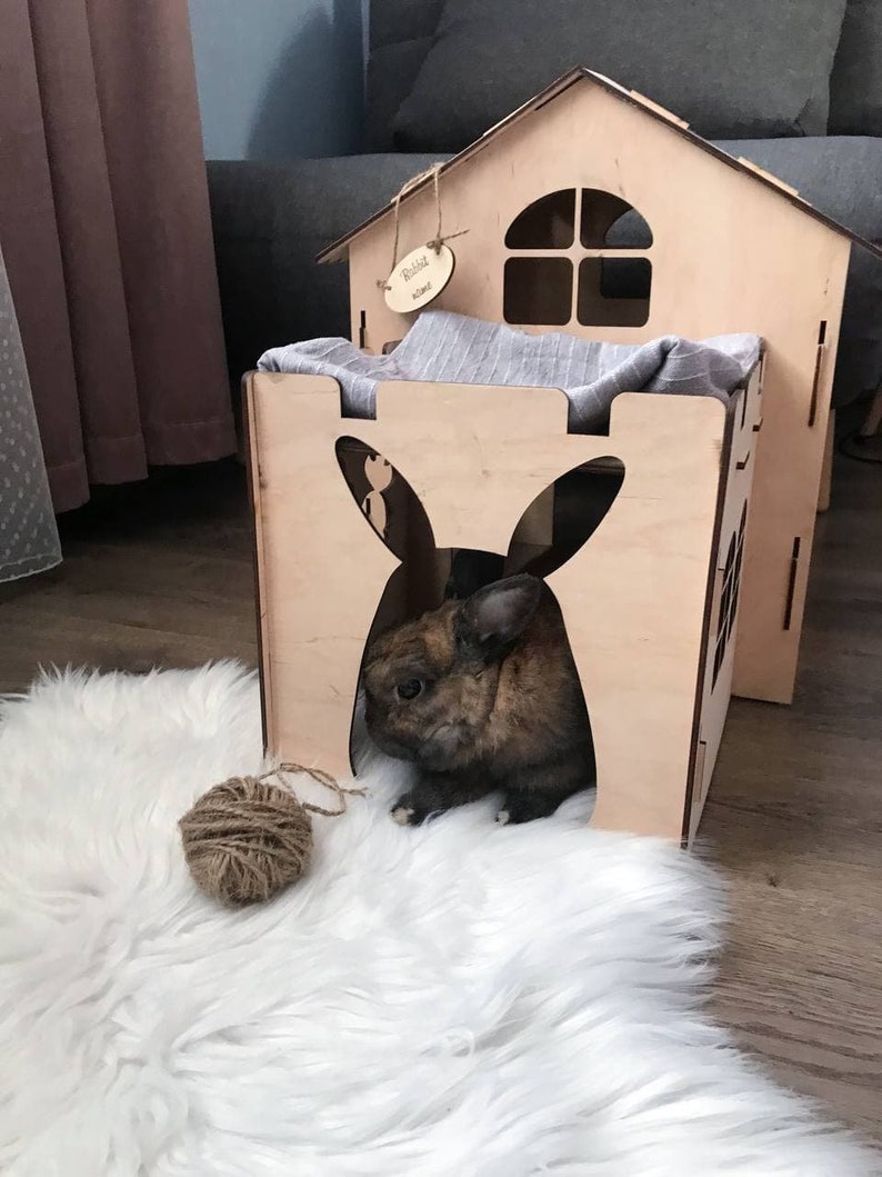 Bunny House With Ladder Guinea Pig House Rabbit Furniture - Etsy