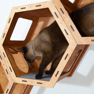 Custom Set of Wooden Cat Houses, Hexagon Cat Shelves, Wooden Cat House ...