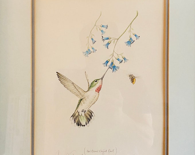 Vintage James P Townsend Framed Hummingbird Drawing Hand-colored ...